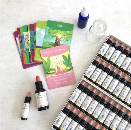 カードリーディングと夢 | フラワーエッセンスの魅力｜スペースハナ